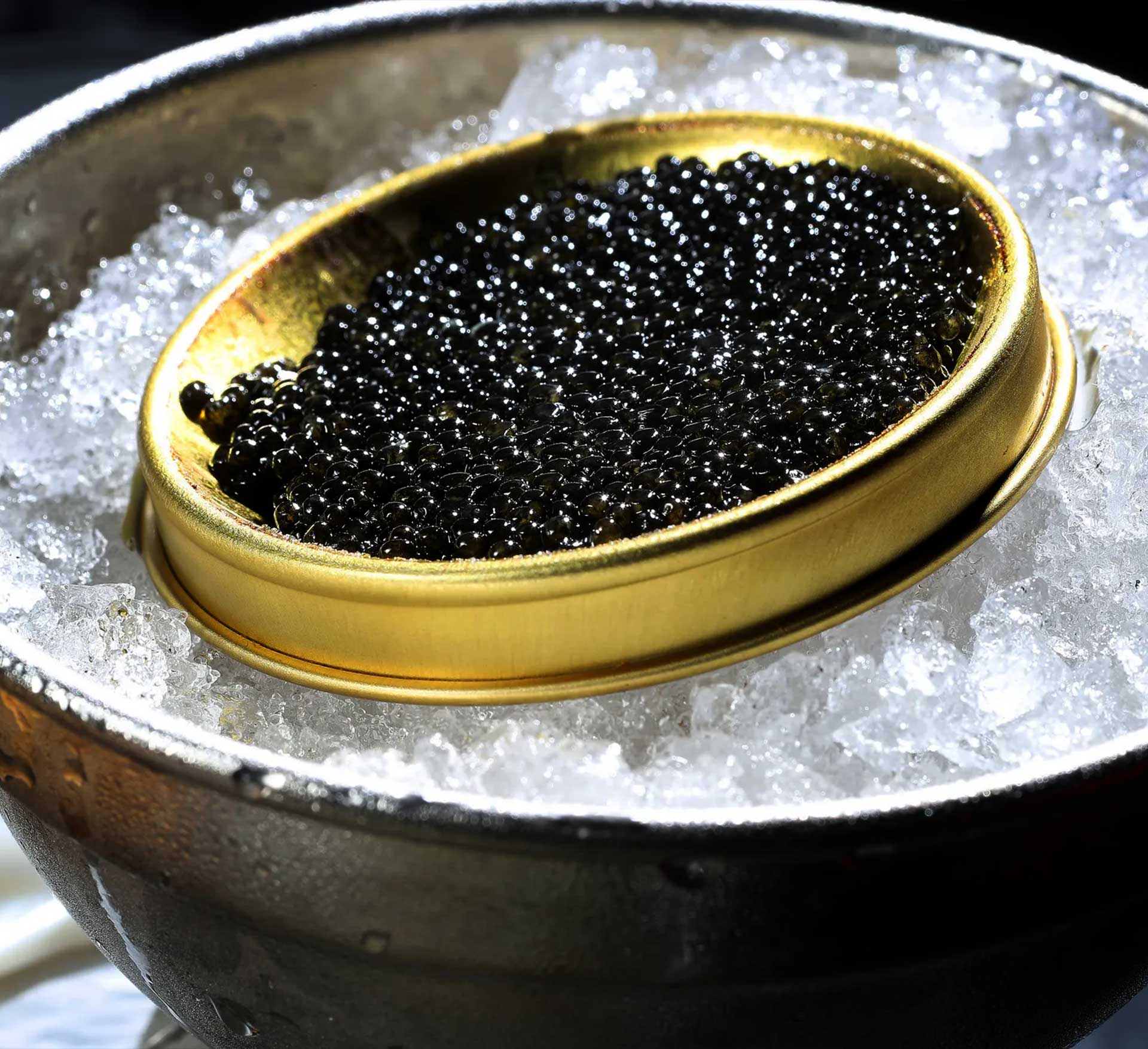 Beluga Caviar en Lata: El Lujo Preservado para los Paladares más ...